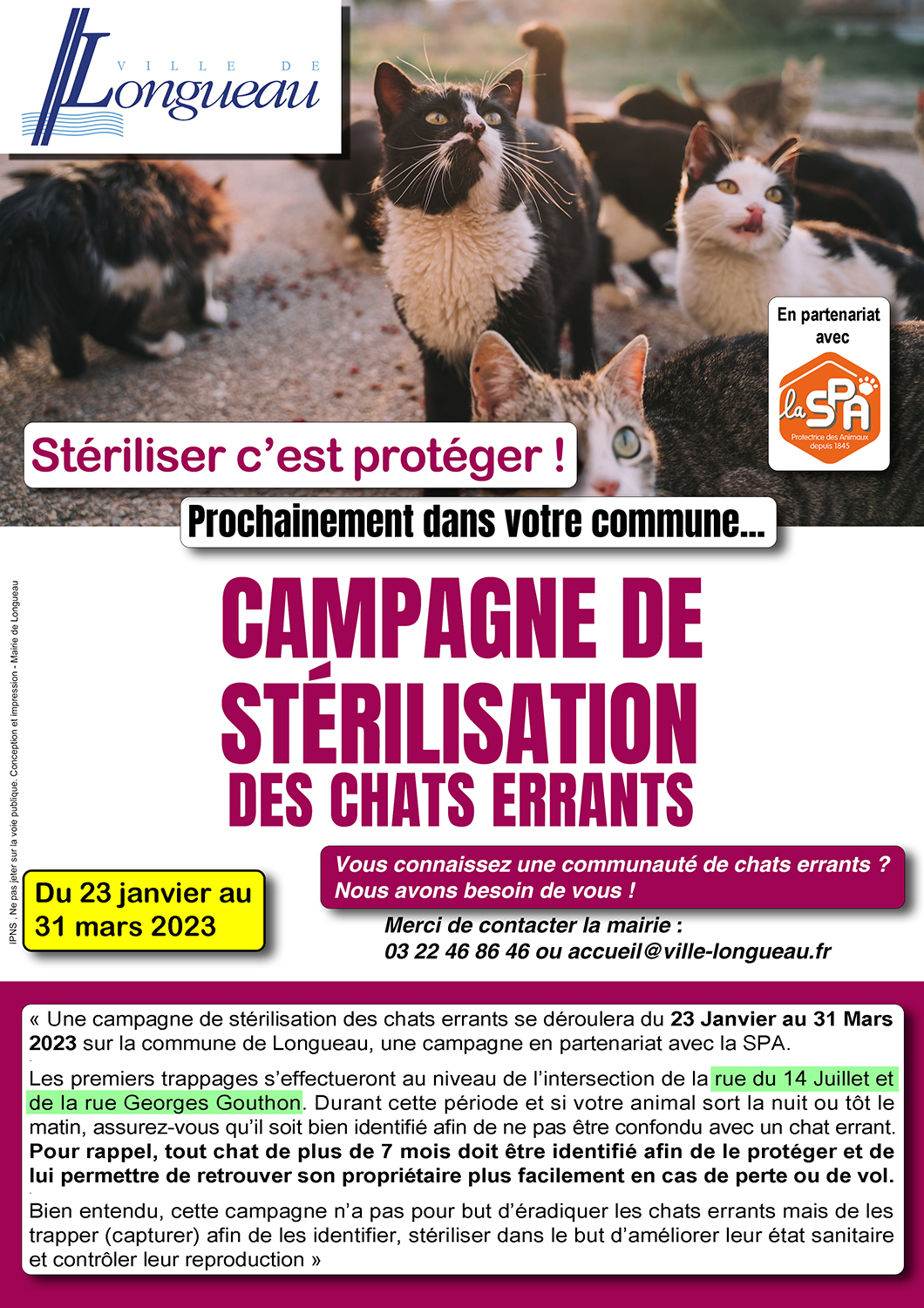 Campagne de stérilisation des chats errants - Ville de Longueau Campagne de stérilisation des chats errants - Ville de Longueau